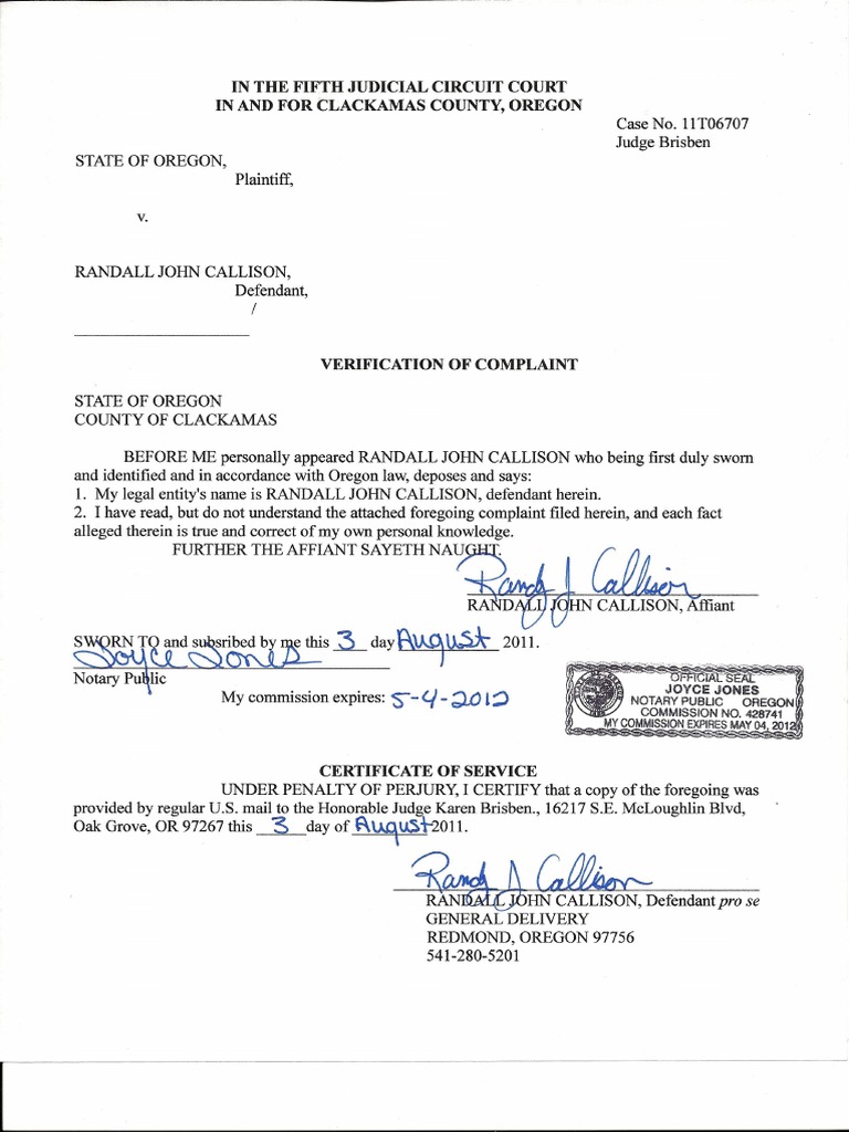 Verification of Complaint | PDF