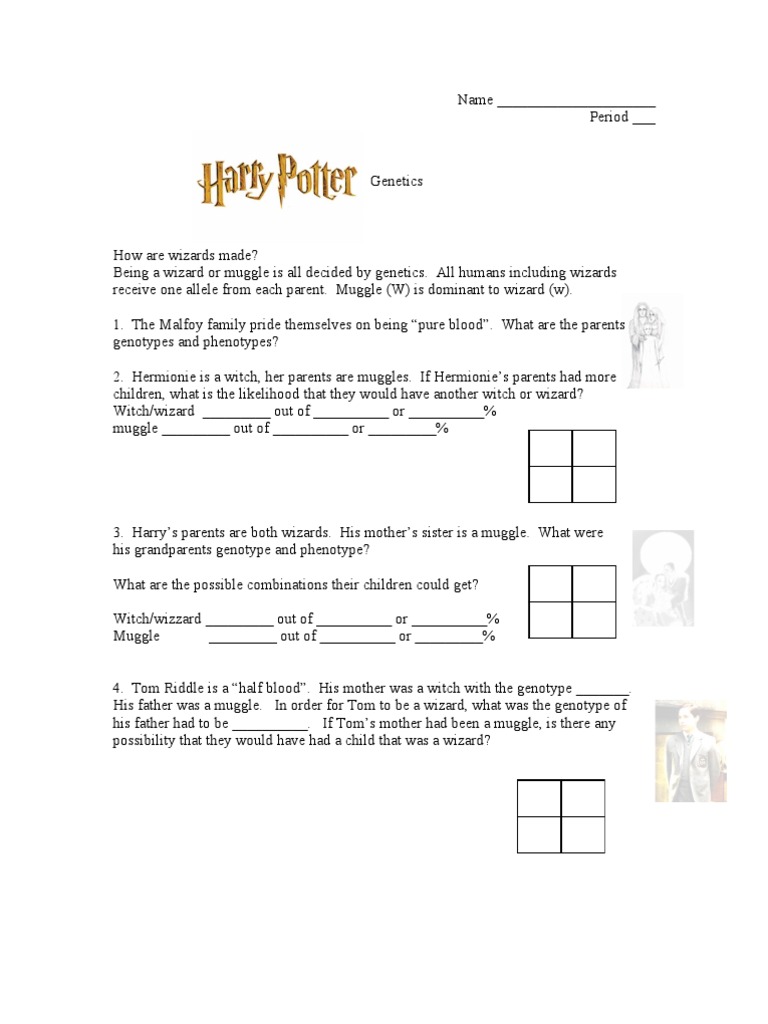 Harry Potter Genetics | PDF | Dominance (Genetics) | Genotype