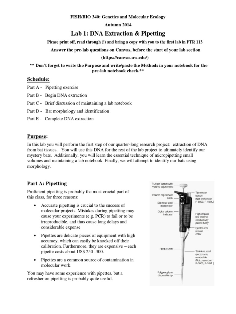 DNA Extraction | Earth & Life Sciences | Biology