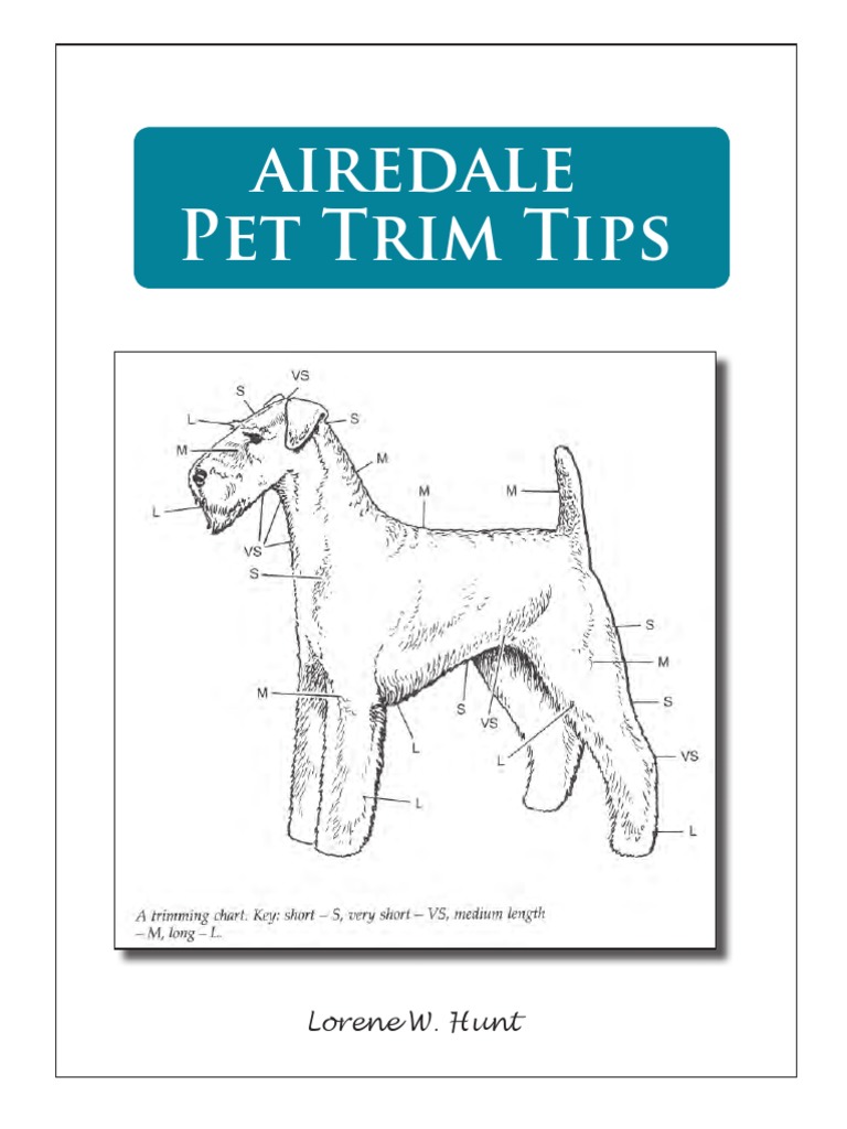 How To Cut Airedale Terrier Hair