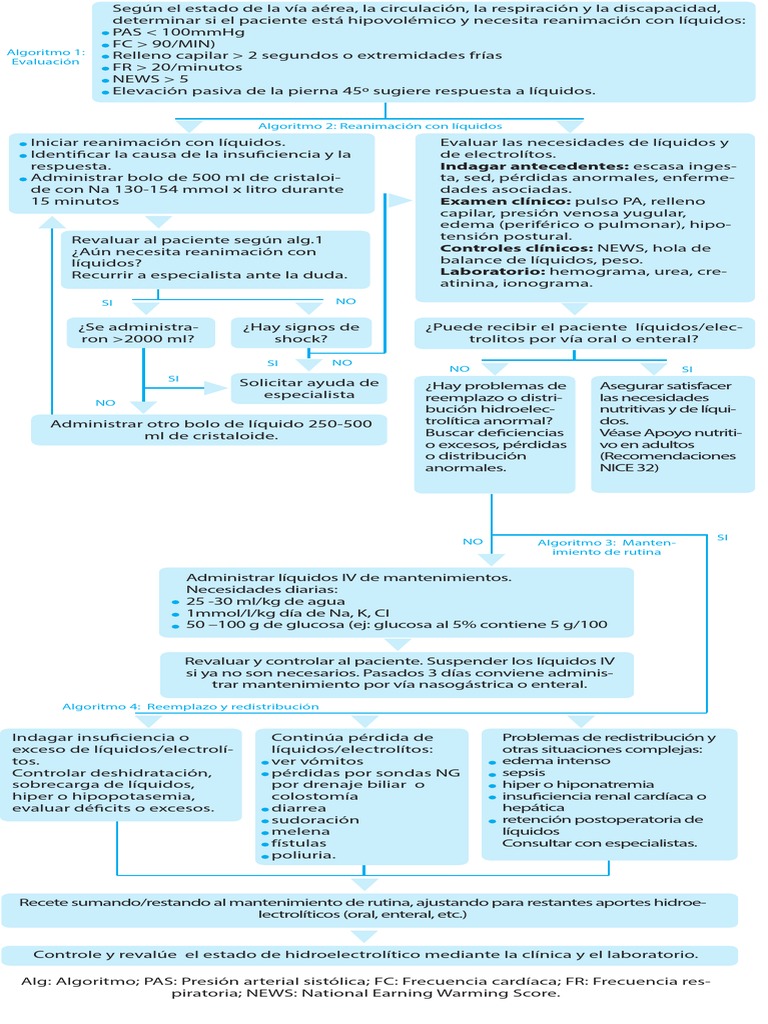 Administracion de Liquidos Algoritmo | PDF | Reanimación cardiopulmonar | Especialidades Medicas