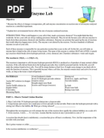 Enzyme Catalysis Lab Report | PDF | Hydrogen Peroxide | Catalysis