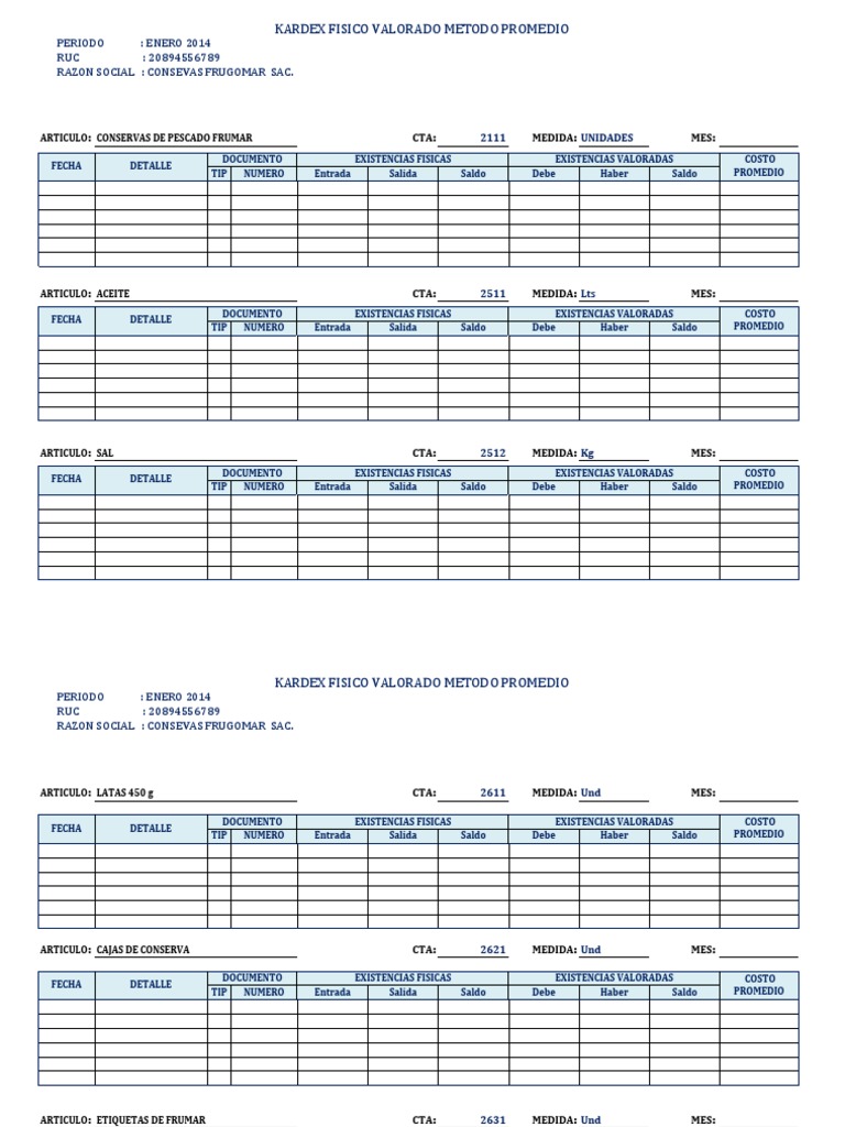 Modelos de Kardex | PDF