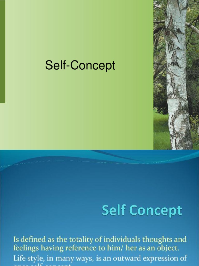 Final Self Concept | PDF | Self Concept | Self Esteem