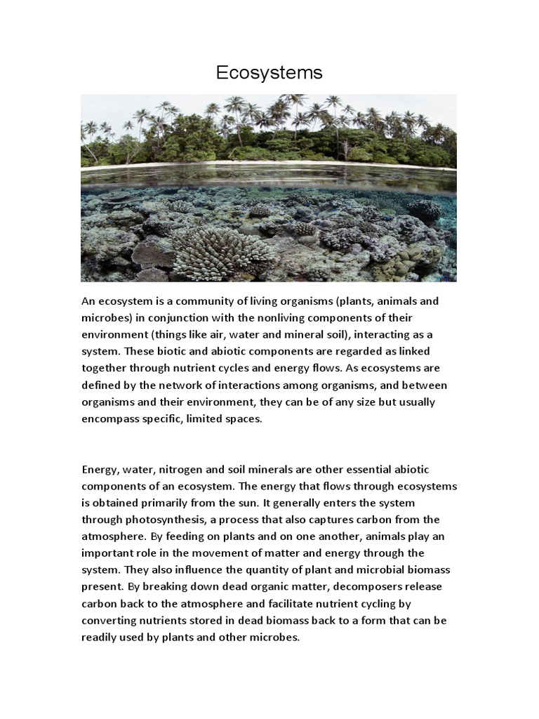 Biology Project About Ecosystems | PDF | Food Web | Ecosystem