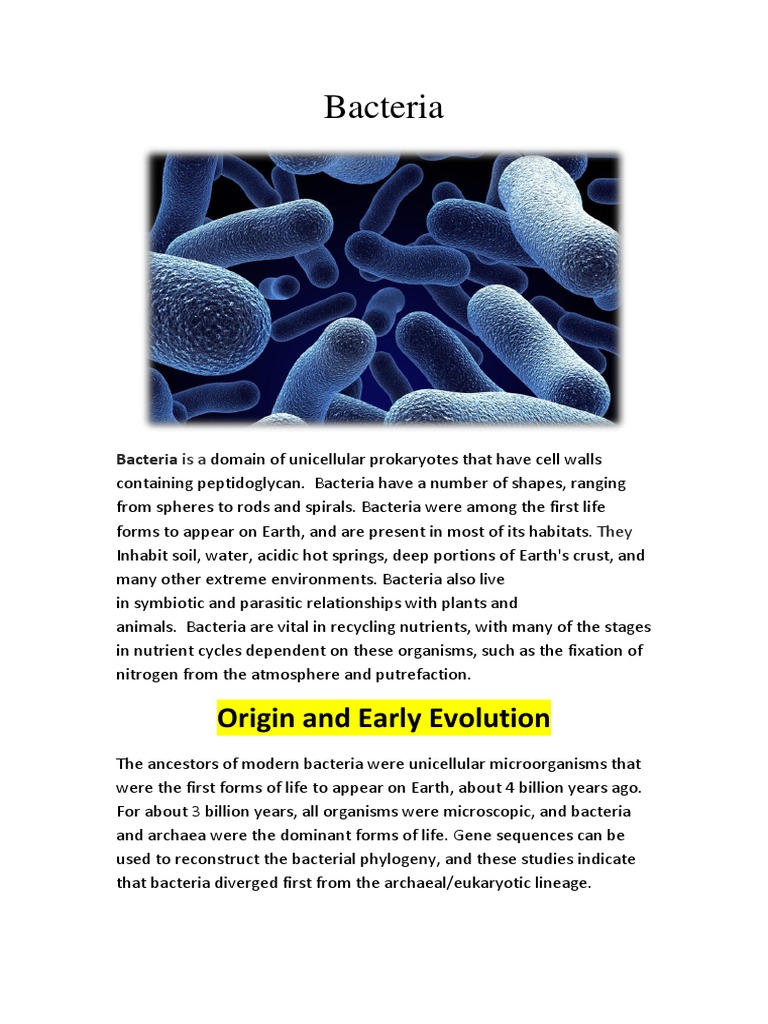 Overview of Bacteria and Their Functions | PDF | Bacteria | Cell Growth
