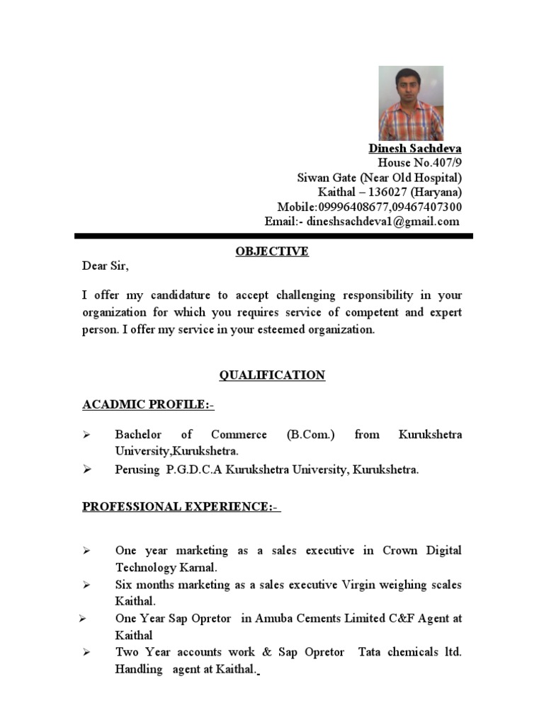 Dinesh Resume | PDF