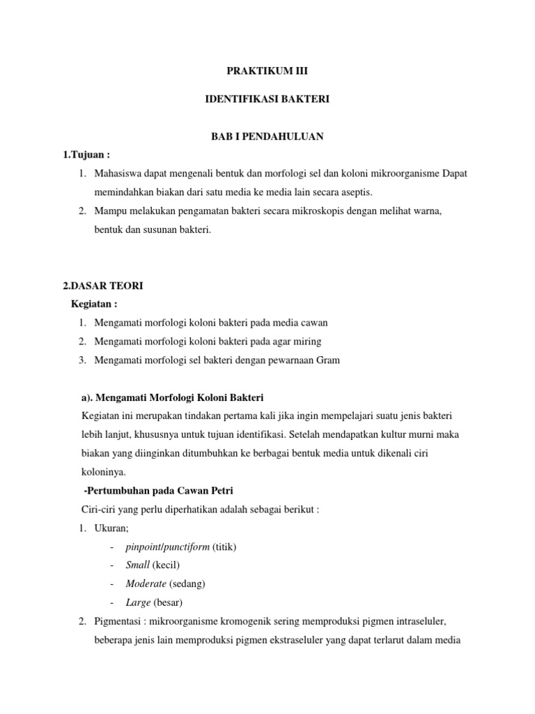 Laporan Identifikasi Bakteri | PDF