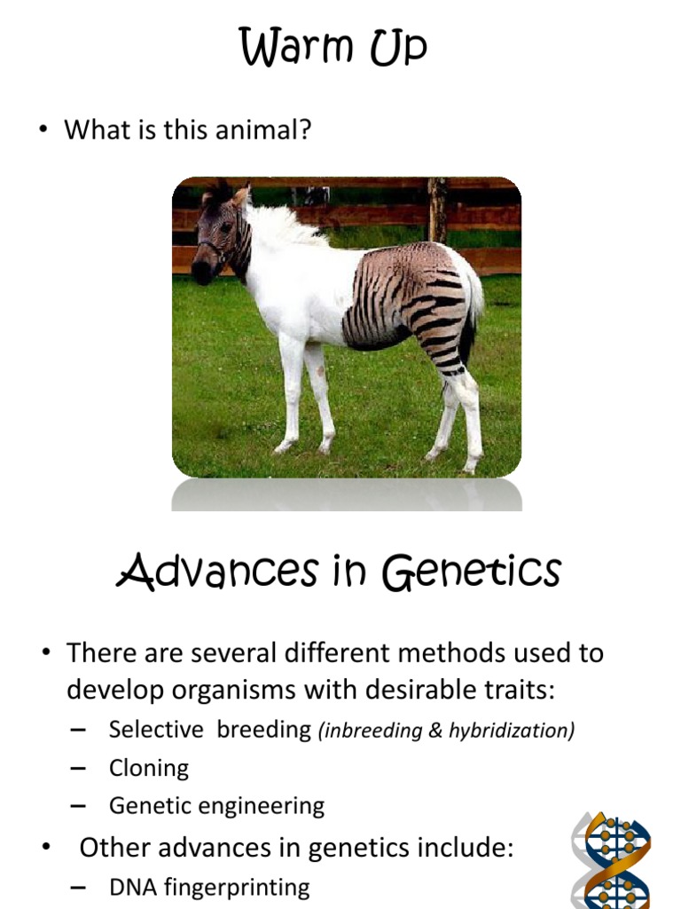 Advances in Genetics | PDF | Hybrid (Biology) | Inbreeding