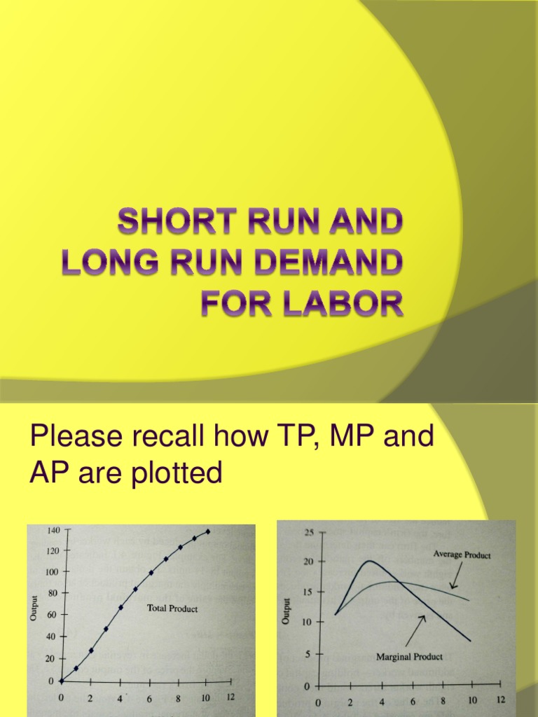 Short Run and Long Run Demand For Labor | PDF | Labour Economics | Demand