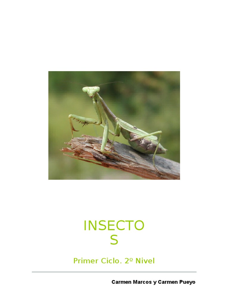 Proyecto Educativo sobre Insectos | PDF | Insectos | Salón de clases
