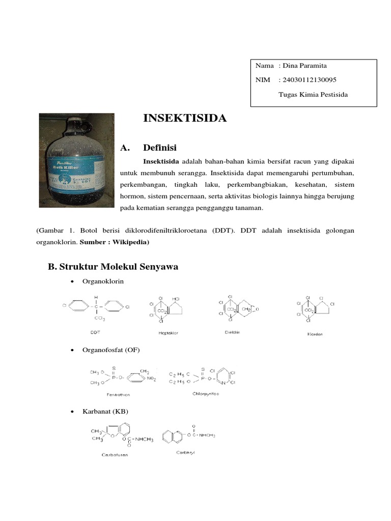 Paper Insektisida Dina | PDF