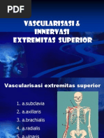 Anatomi dan Fisiologi Aksila | PDF
