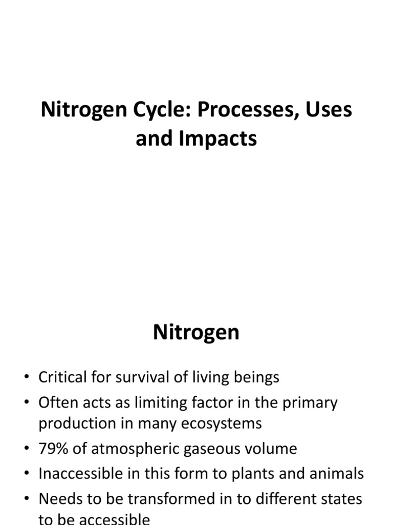 Nitrogen Cycle | PDF | Nitrogen | Cellular Respiration