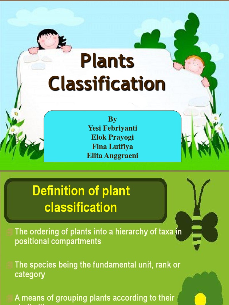Kel 2 Plant Clasification | Download Free PDF | Taxonomy (Biology) | Taxa