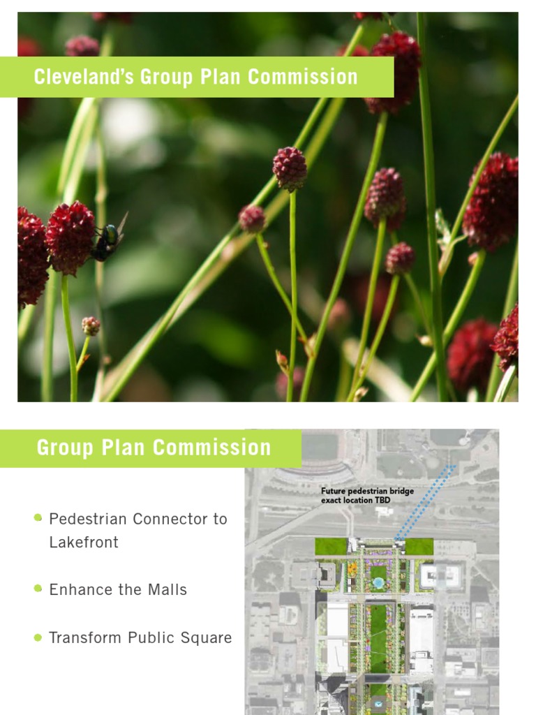 Cleveland's Group Planning Commission: A Proposal To The Northeast Ohio ...