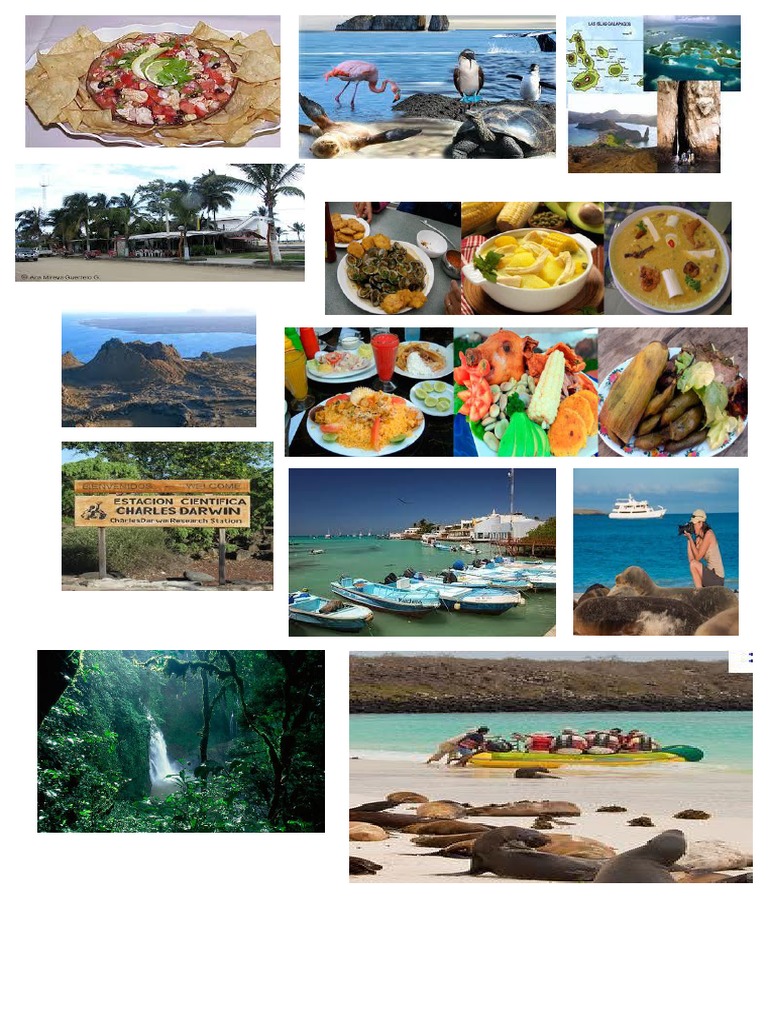 Comidas Tipicas de Galapagos | PDF | Islas Galápagos | Mariscos