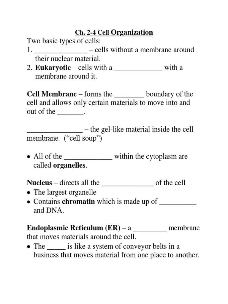 CH 2-4 Notes Fill in Blank | PDF