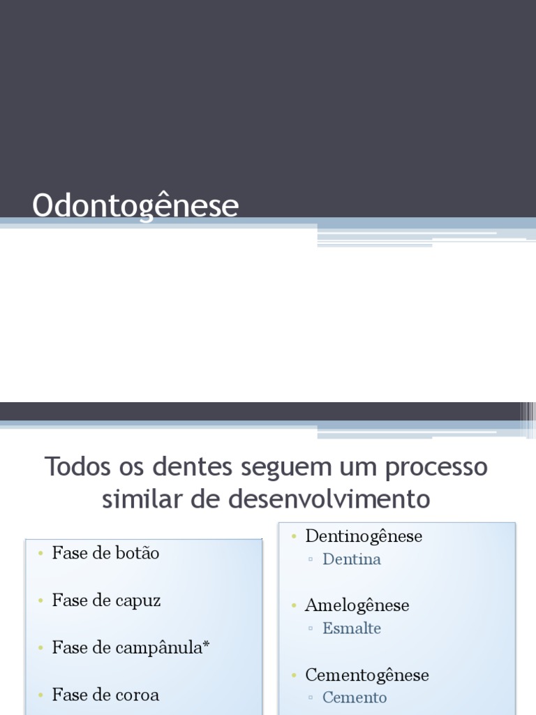 4 Odontogênese PDF | Download grátis PDF | Dente | Dentina