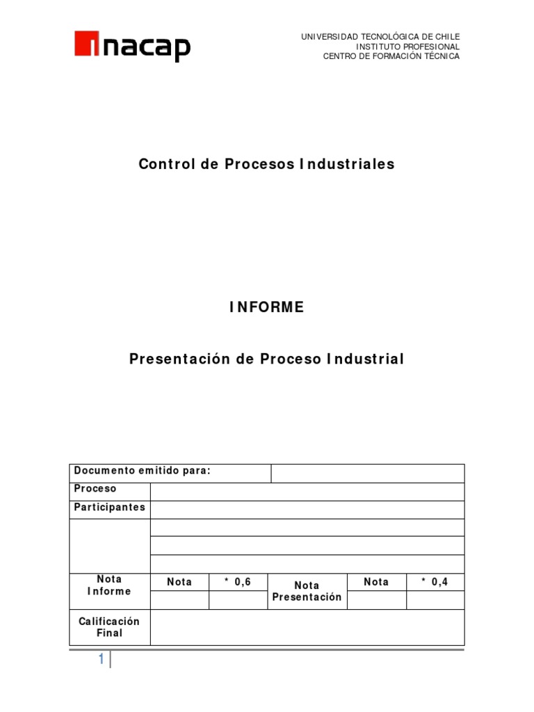 INFORME DE PROCESOS.pdf | Automatización | Internet