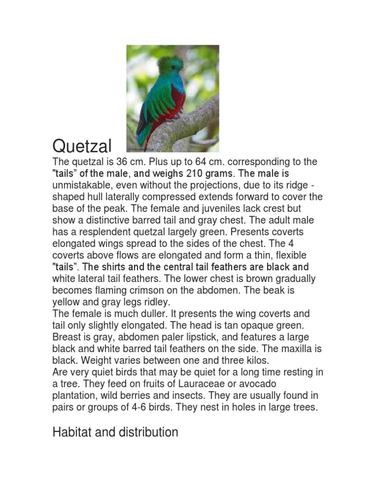 Quetzal Bird Habitat and Distribution | PDF