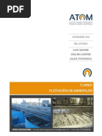 Cálculos Metalúrgicos | PDF | Minerales | Metalurgia