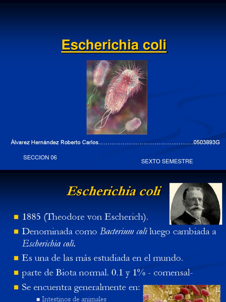 escherichia-coli.ppt | Escherichia coli | Diarrea