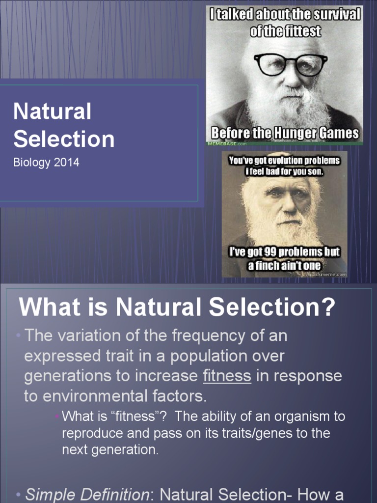 Natural Selection Revized | PDF