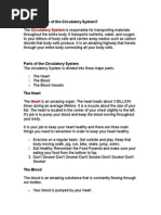Overview of the Circulatory System | PDF | Blood Vessel | Heart