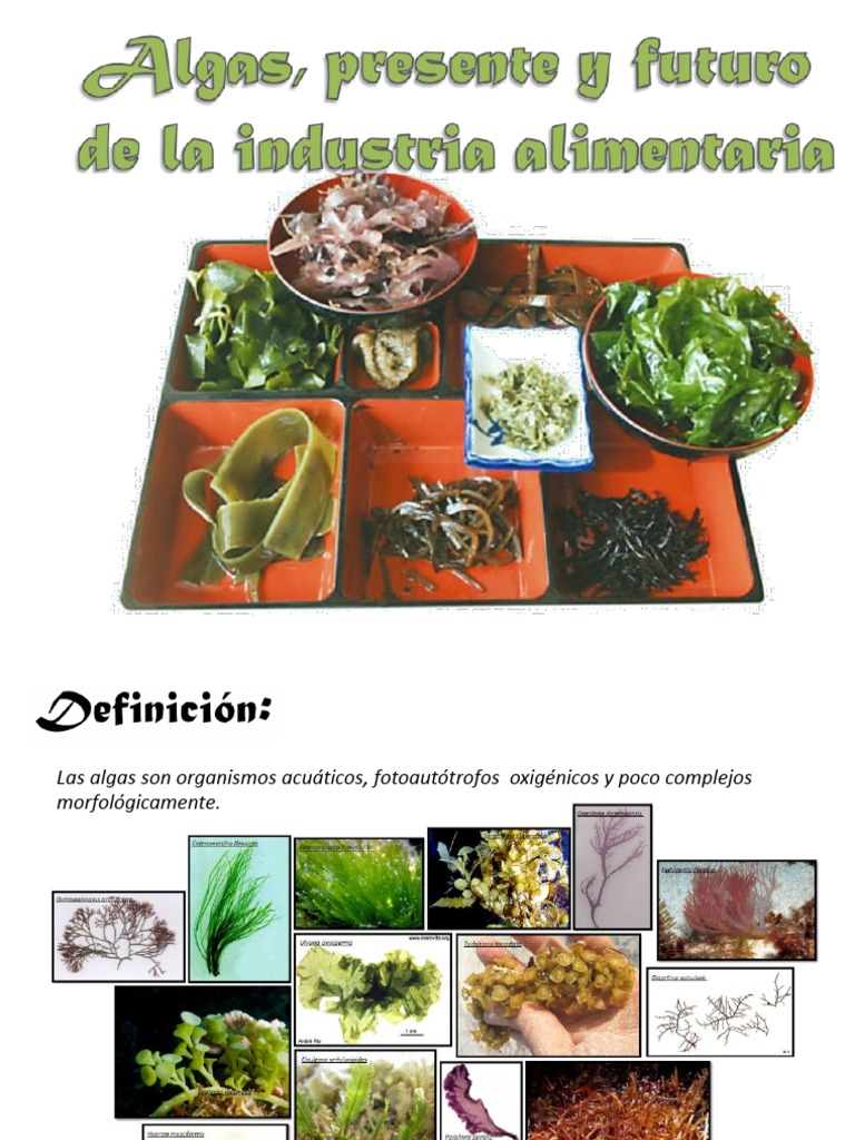 Presentacion Algas | PDF | Algas | Cloroplasto