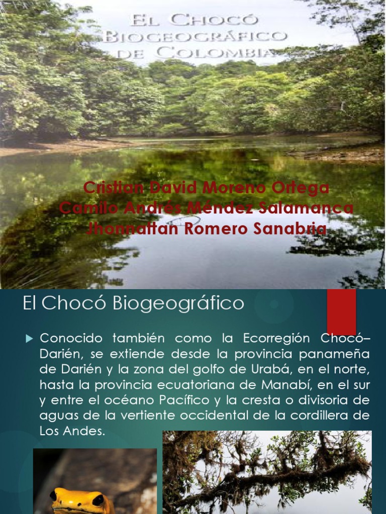 Choco Biogeografico | PDF | Andes | Selva