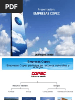 Porter Copec | PDF | Petróleo | Biocombustible