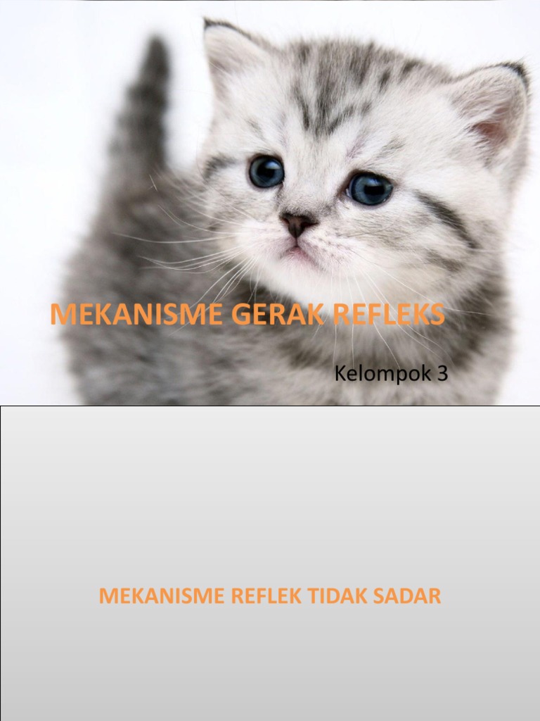 Mekanisme Gerak Refleks dan Fungsinya | PDF