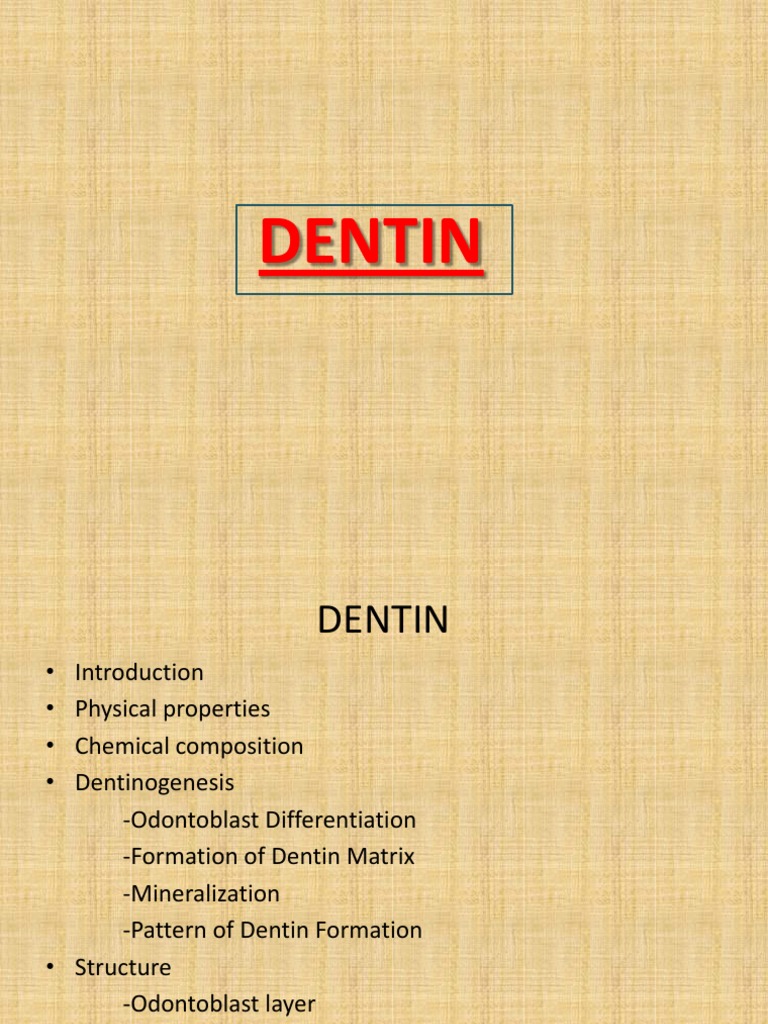Dentin | PDF | Dentin | Tooth Enamel