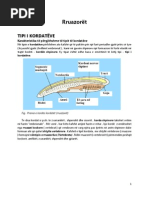 Biologji Riprodhimi Te Shtazët L.H | PDF