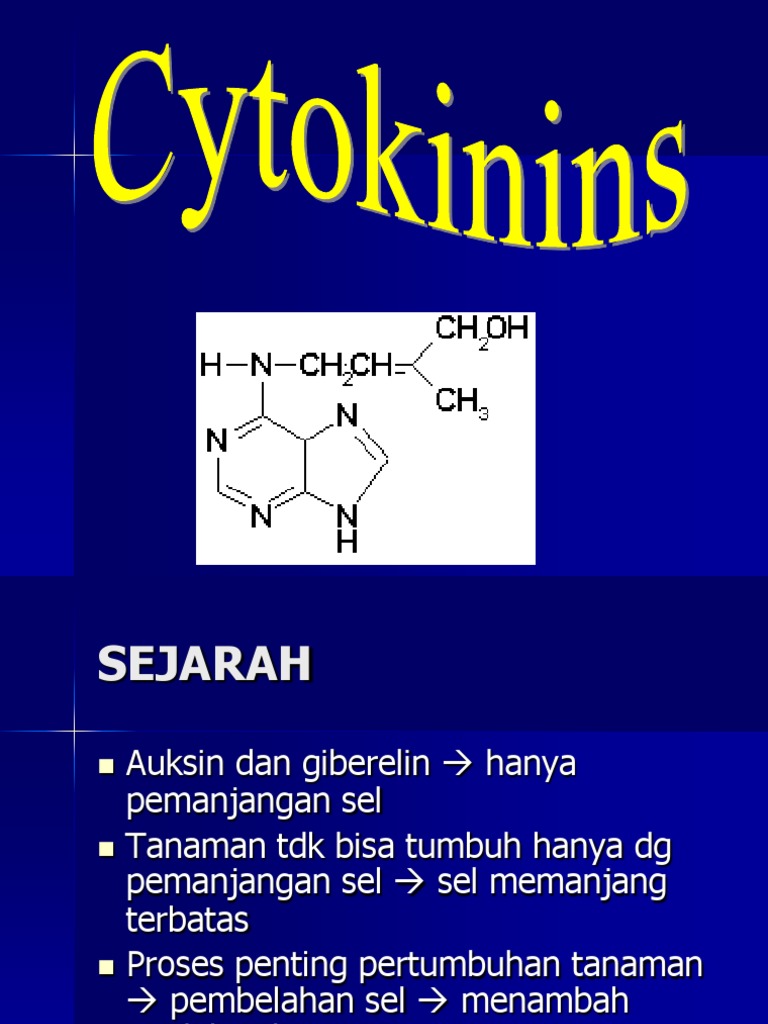 Hormon Tanaman: Auksin dan Sitokinin | PDF