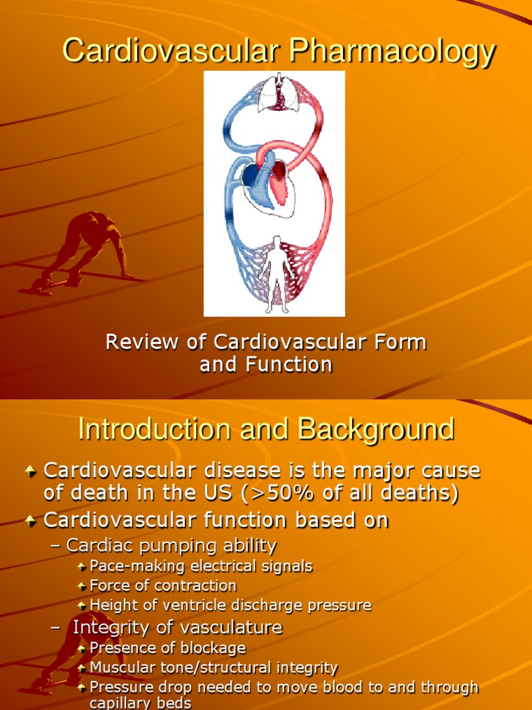Cardiovascular Pharmacology Overview | PDF | Angiotensin | Heart