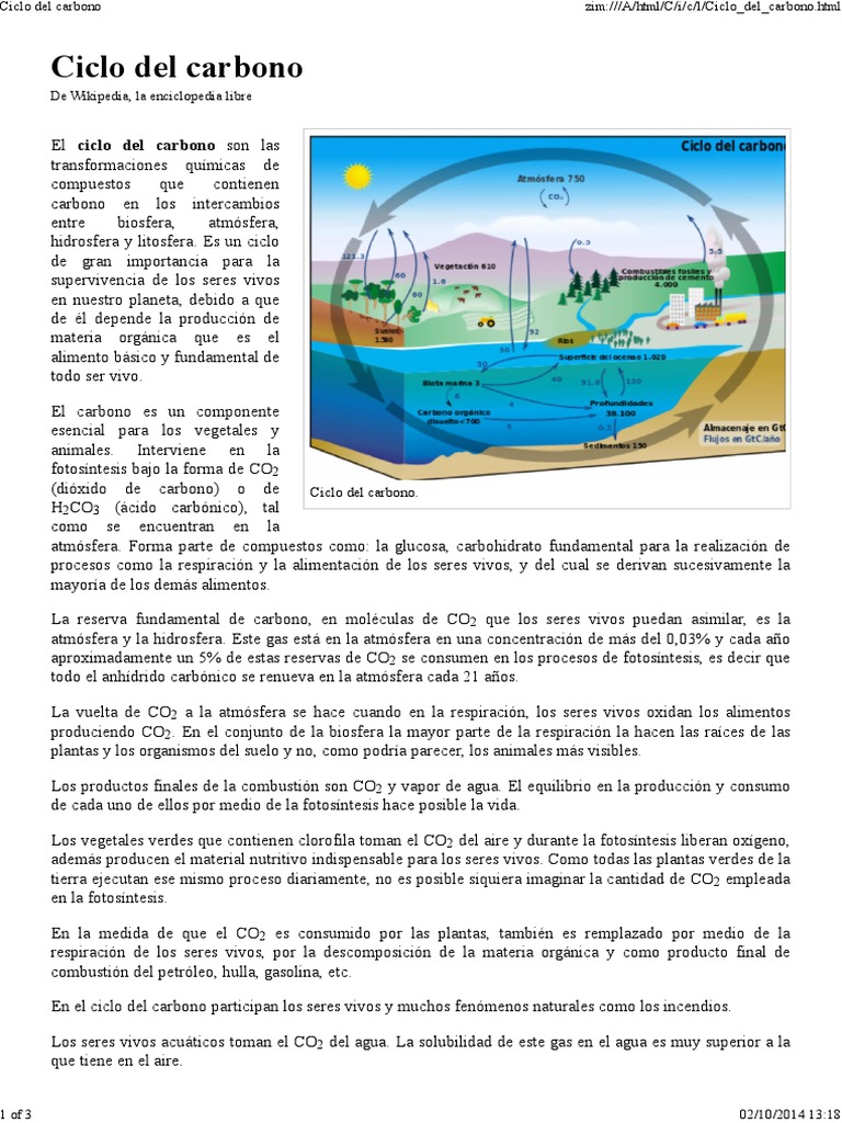 Ciclo del carbono.pdf | Ciclo del carbono | Dióxido de carbono
