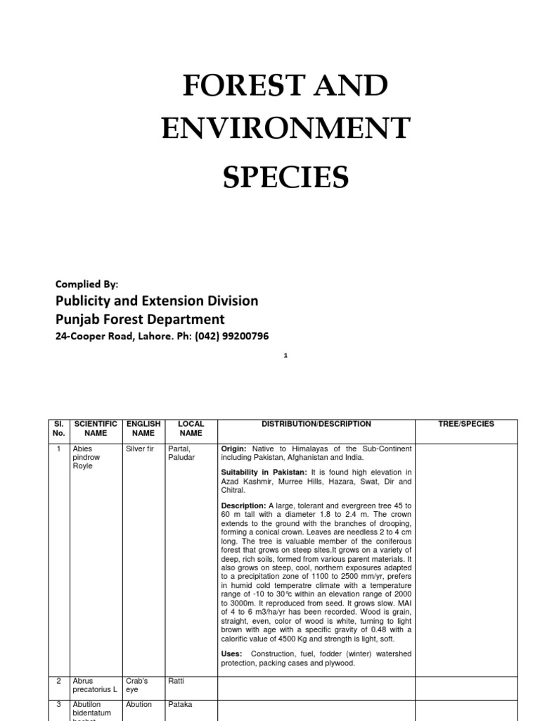 Forest & Envionment Species | PDF | Trees | Maple
