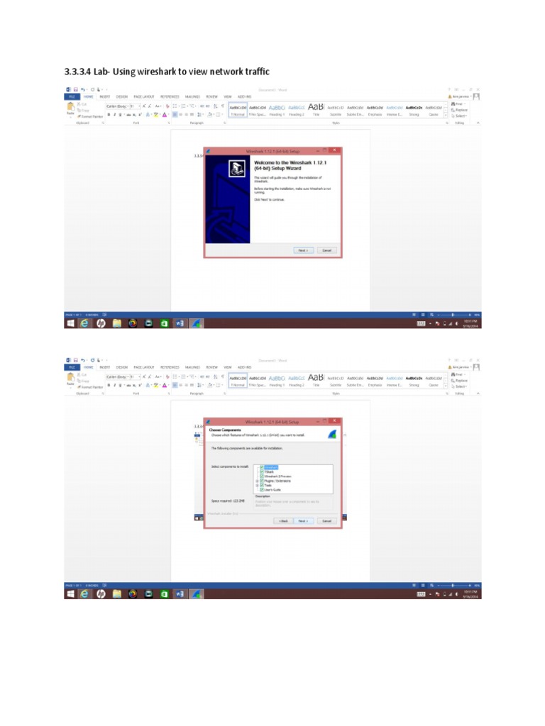 3.3.3.4 Lab-Using Wireshark To View Network Traffic | PDF