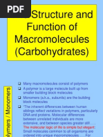 Macromolecule Summary Chart - Completed | PDF | Macromolecules | Cell (Biology)