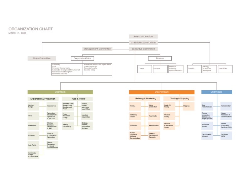 Organization Chart: Board of Directors Chief Executive Officer ...