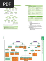 Bacteria Classification Flowchart | PDF