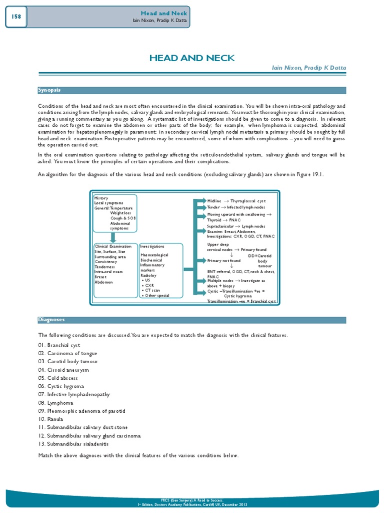 Head and Neck | PDF | Lymphoma | Neck