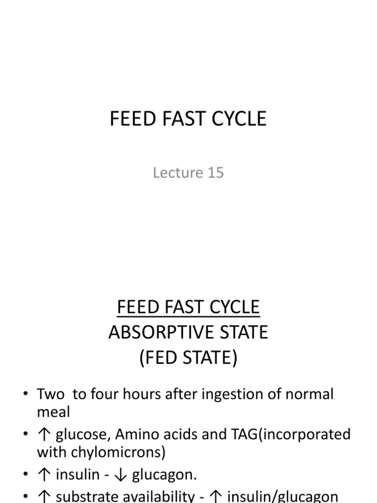 Feed Fast Cycle | Metabolism | Glycolysis