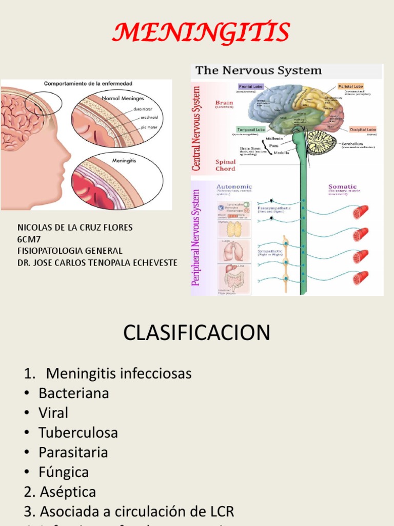 Classifying and Understanding the Pathophysiology of Meningitis | PDF ...