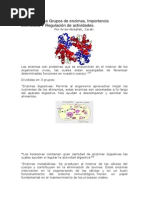 FRUTENZIMA: Usos y Beneficios Clínicos | PDF | Páncreas | Órgano (anatomía)