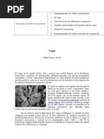 Proceso en Planta de Coque y Coquización | PDF | Alto horno | Arrabio