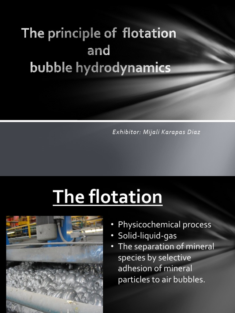 The Principle of Flotation | PDF | Art | Technology & Engineering