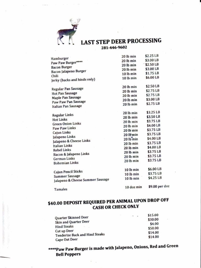 Last Step Processing | PDF